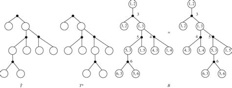 T And T∗ Are Two Different ξ•ξ∘‐multitype Galton‐watson Trees After Download Scientific