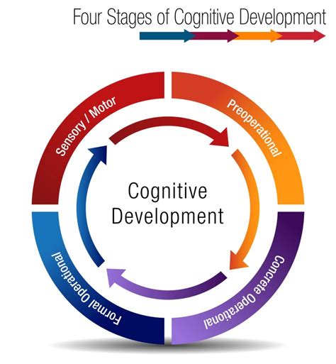 Cognitive Development