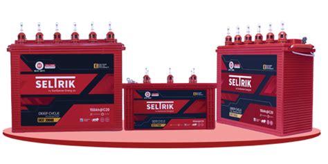 What Are Solar Tall Tubular Batteries