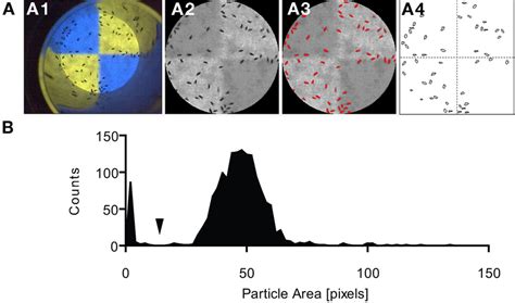 Semi Automatic Fly Counting Using Imagej Flies In Every Region Of Download Scientific Diagram