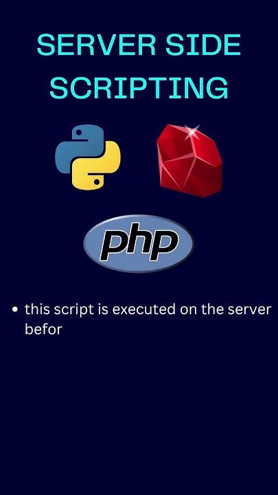 Client Side Scripting Vs Server Side Scripting Understanding The