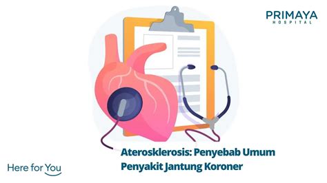 Aterosklerosis Penyebab Umum Penyakit Jantung Koroner Primaya Hospital