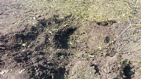 Що відомо про російські удари по Сумщині за добу інформація на ранок 17 червня — Суспільне Суми