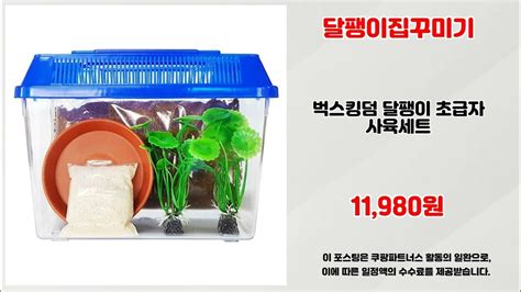 달팽이집꾸미기 추천 Youtube