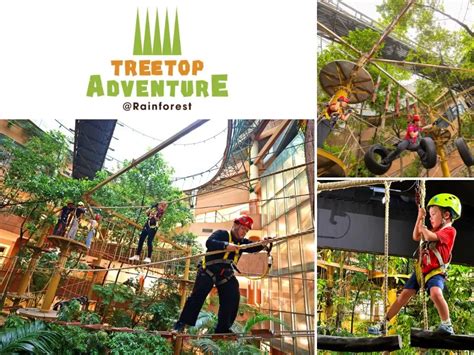 New Treetop Adventure Park In 1 Utama