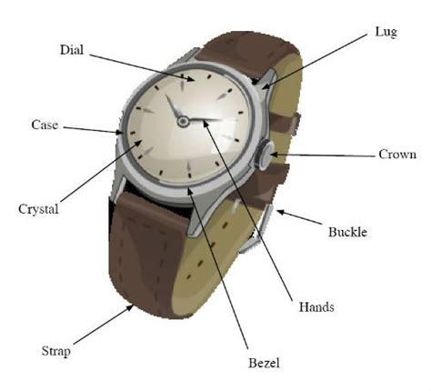 Parts Of A Watch 101 Guide To Part Names Inside And Out