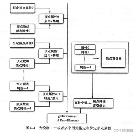 【我的opengl学习进阶之旅】顶点属性、顶点数组opengl 绑定顶点数组 属性 Csdn博客