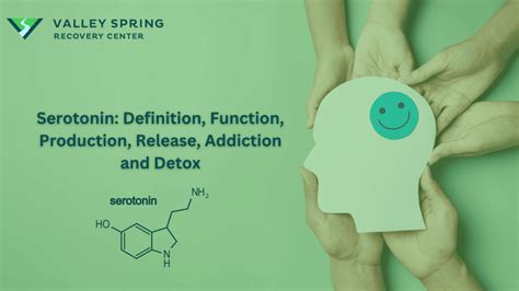 Serotonin Definition Function Production Release And Detox