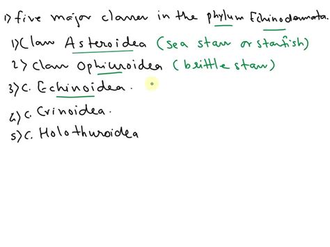 Solved What Are The Five Major Classes In The Phylum Echinodermata