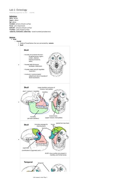 Biom3010labsummarynotes Scholarfriends