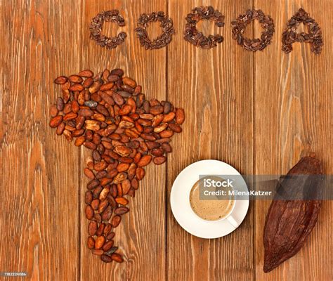 코코아 콩으로 만든 남미 대륙 단어 코코아 코코아 포드와 카카오 음료 0명에 대한 스톡 사진 및 기타 이미지 0명 갈색 건강한 생활방식 Istock