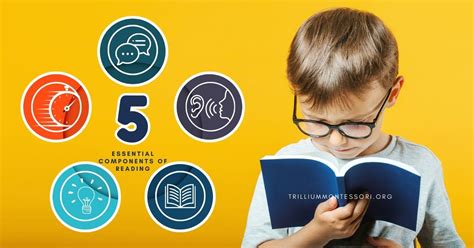 The 5 Components Of Reading