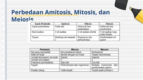 Ppt Pembelahan Sel Mitosis Dan Meiosis Pptx