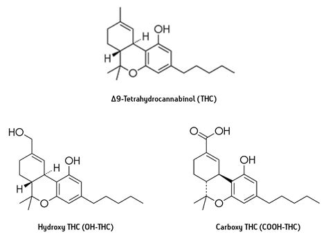 Optimized SPE For UPLC MS MS And GC MS MS Determination Of THC And Its Metabolites In Urine And