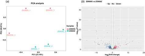 Transcriptome Analysis Of Maize Pollen Grains Under Drought Stress