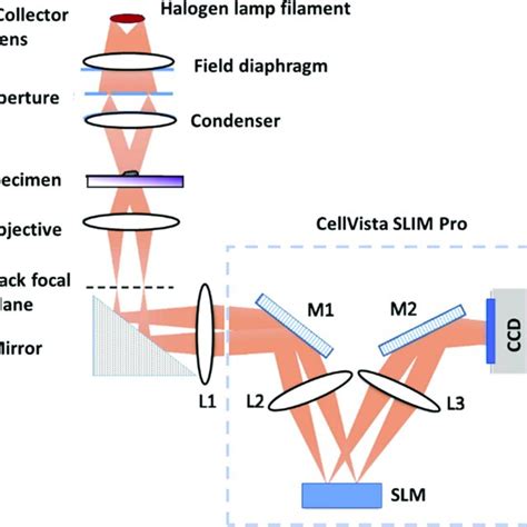Schematic For Slim The Slim Module Is Attached To A Commercial Phase Download Scientific