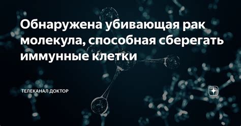 Обнаружена убивающая рак молекула способная сберегать иммунные клетки Доктор Дзен