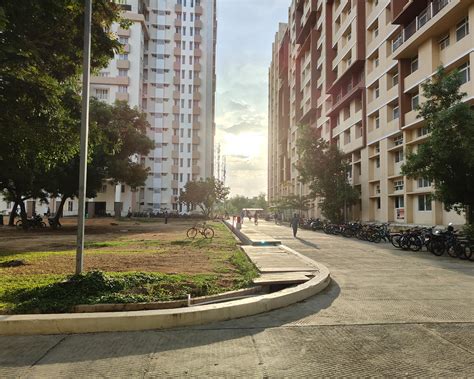 A Random Capture Rvit