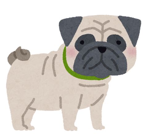 パグのイラスト犬 かわいいフリー素材集 いらすとや