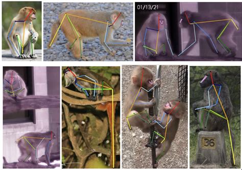 Jiwon Park Personal Website