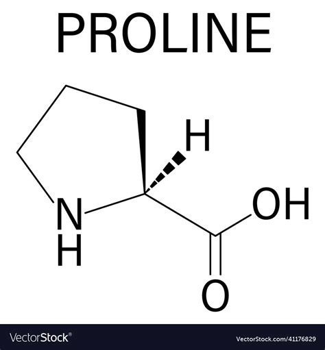Structure Of Proline