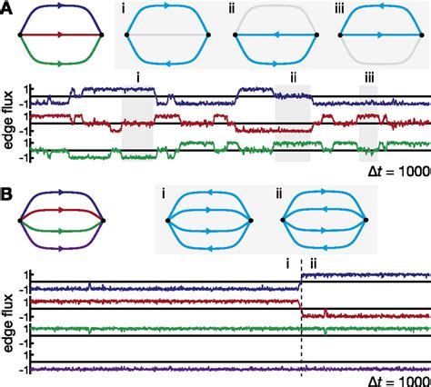 Stochastic Cycle Selection In Active Flow Networks Pnas