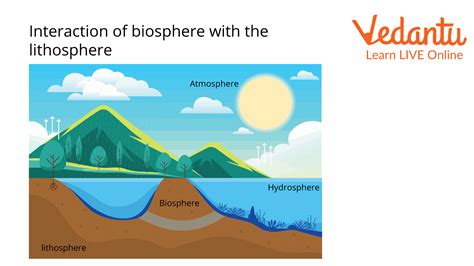 Lithospheres Plants Learn Important Terms And Concepts