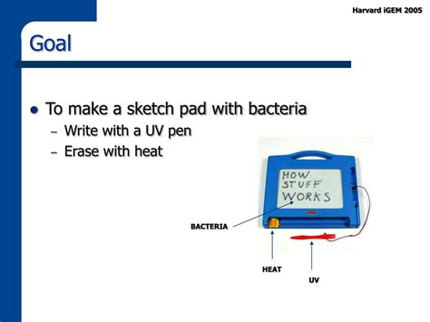 Ppt Harvard Igem 2005 Powerpoint Presentation Free Download Id 750078