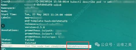 K S故障处理指南pod驱逐问题处理 CTO COM