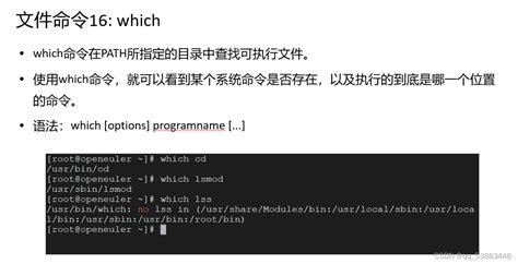 Linux笔记 Csdn博客 Linux笔记 Csdn博客