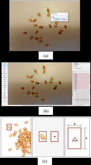 A Generating Label Using Labelimg Labelling Tool B Labelled Image Download Scientific