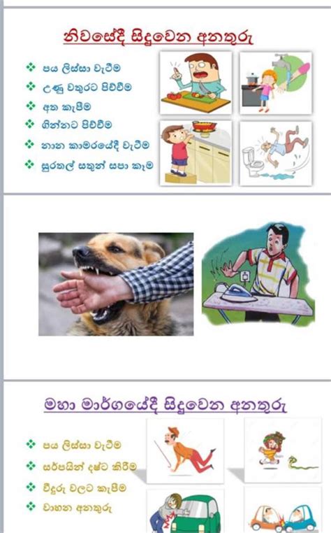 ගුරුතුමී ආරක්ෂාව හා පරිස්සම 3 ශ්‍රේණිය පරිසරය