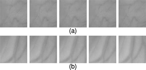 figure 5 from tensorized multi view low rank approximation based robust hand print recognition