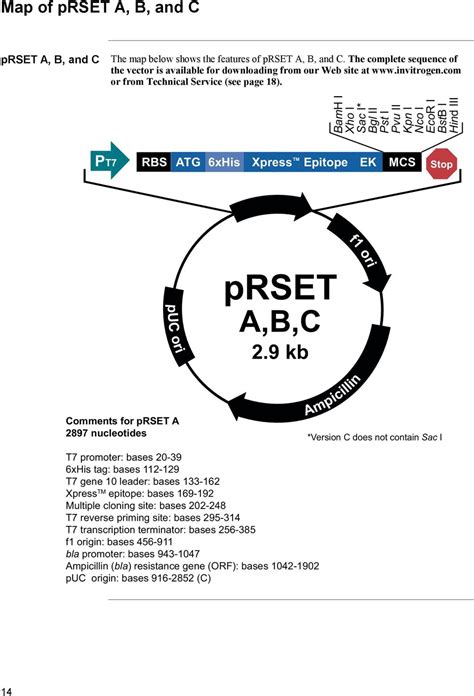 Prset Vector At Vectorified Com Collection Of Prset Vector Free For Personal Use