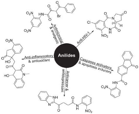 Anilide Functionality Embedded Molecules With Their Biological Potential Download Scientific