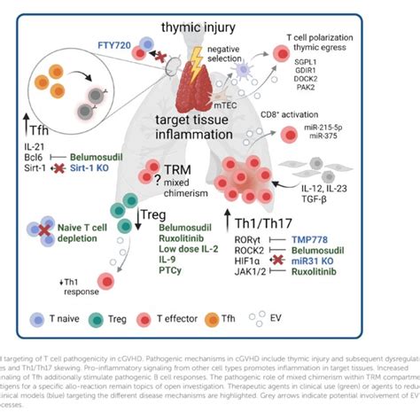 Scheme Showing The Structure Of Targeted Covalent Inhibitor Drugs Download Scientific Diagram