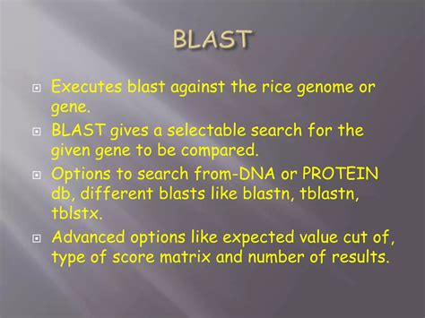 Rap Dbrice Annotation Project Data Base Ppt