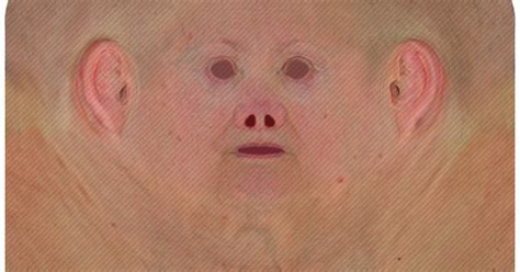 Female 088 Albedo Map