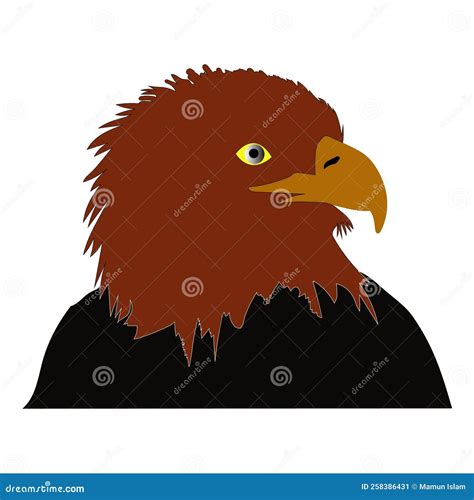 Falcon Vector Portrait Artwork Stock Vector Illustration Of Text