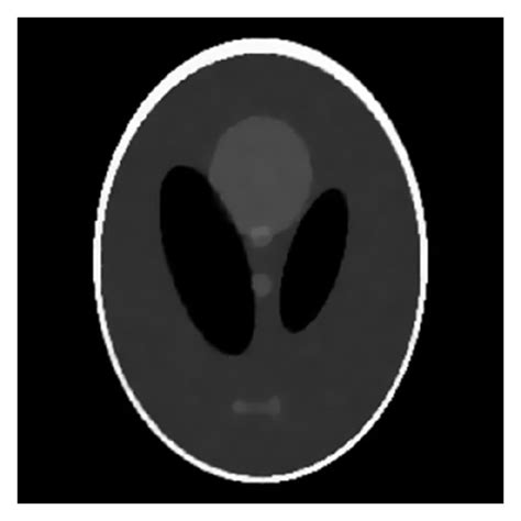 The Reconstructed Images Using Three Different Reconstruction