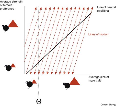 Sexual Selection Current Biology