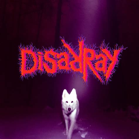 Disarray Disarray