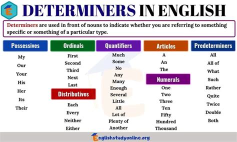 Determiners In English You Should Know English Study Online Deyimler Ingilizce