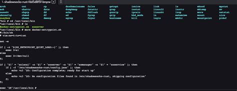 The Template K8s Is Broken Issue 978 Shadowsocks Shadowsocks Rust GitHub