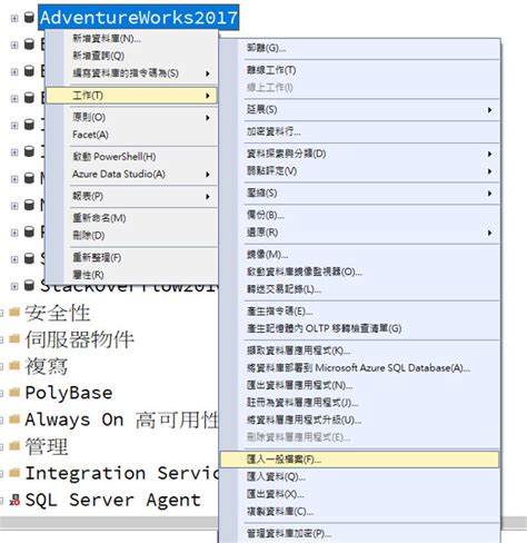 ~楓花雪岳~ Ssms 匯入 Csv 檔案