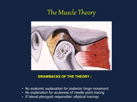 Centric Relation Pptx