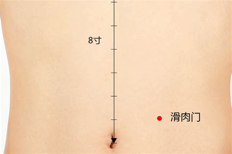 胡有宸艾艾贴穴位图解 滑肉门穴