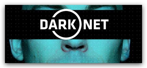 shadows of the net a tale of the darknet and cryptocurrency by