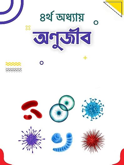 Biology Hsc 25 Batch Final Revision Batch