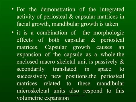 Functional Matrix Theory